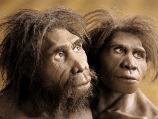 Homo erectus | Nghiên Cứu Lịch Sử